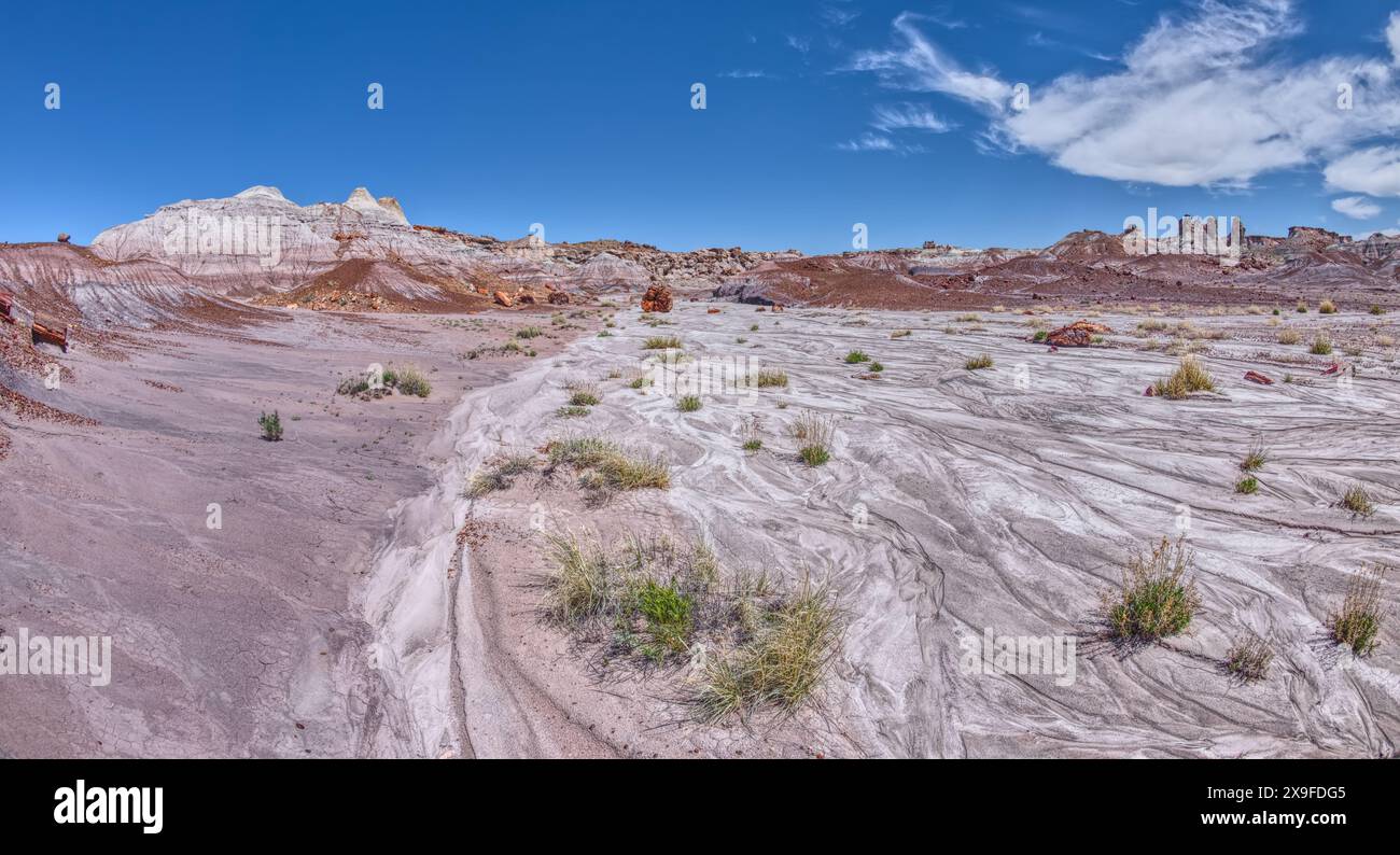 Dry wash in Blue Valley, Petrified Forest National Park, Arizona, USA ...