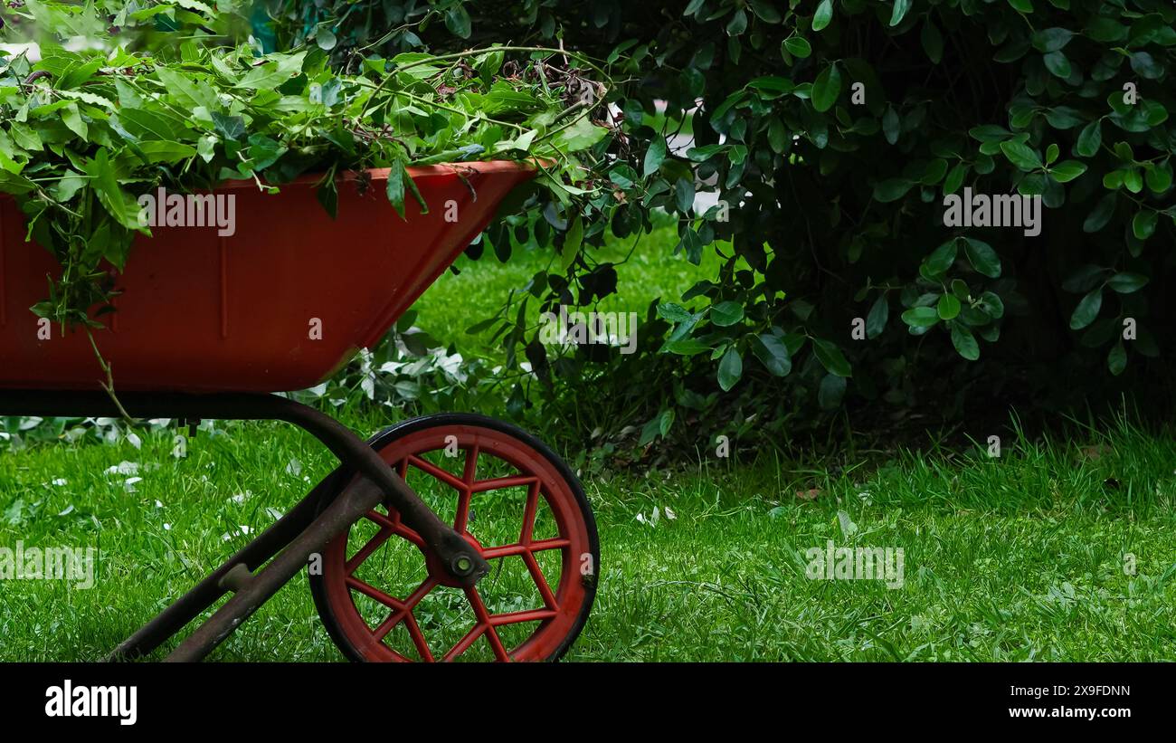wheelbarrow for the garden, cutting trees Stock Photo - Alamy