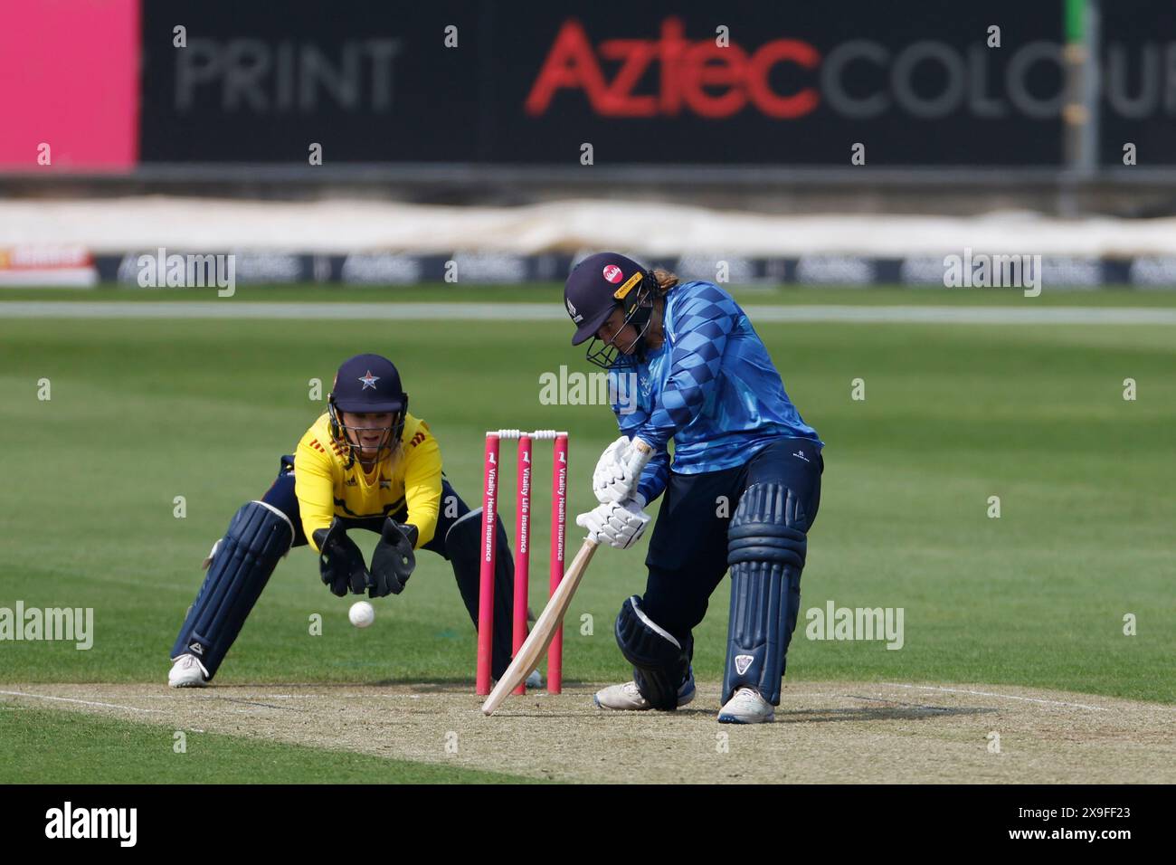 Heath live 2024 hi-res stock photography and images - Alamy
