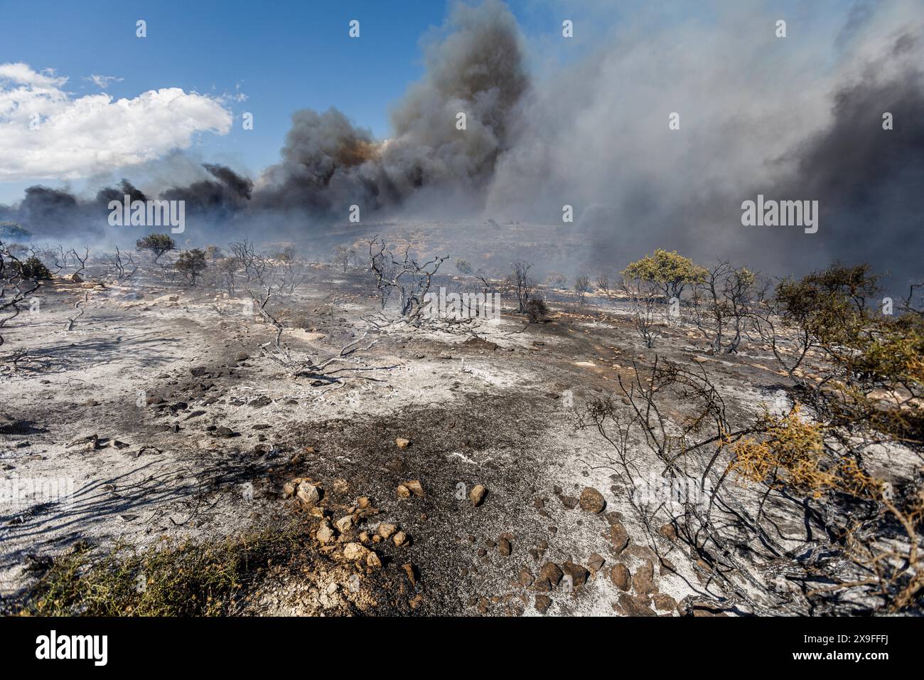 Limassol, Cyprus. 31st May, 2024. Thick smoke is seen in the area ...