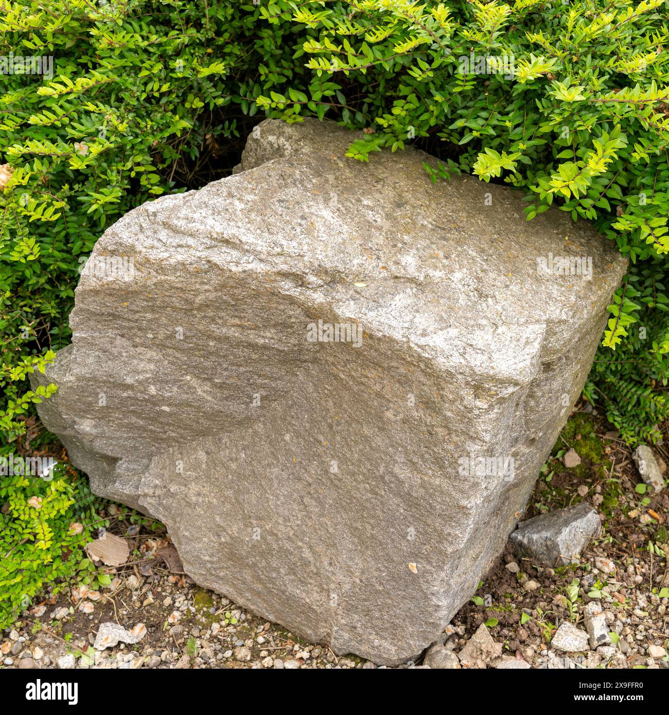Solid cubic shaped big stone lying on the ground under green bushes ...