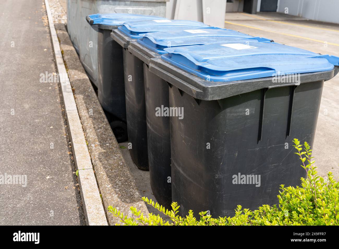 Four black trash bins with blue lids, and several trash metal ...