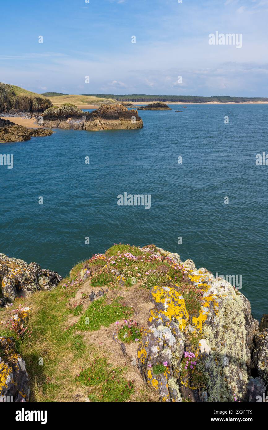 Newbourgh Llanddwyn Anglesey. Scenic coastal landscape with cliffs ...