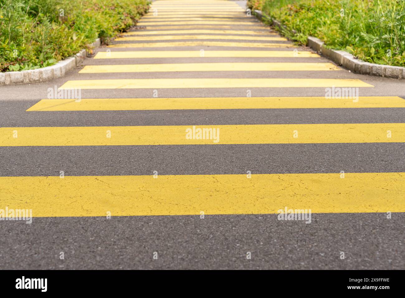 Long yellow pedestrian crossing symbol on the street. Worms eye view ...