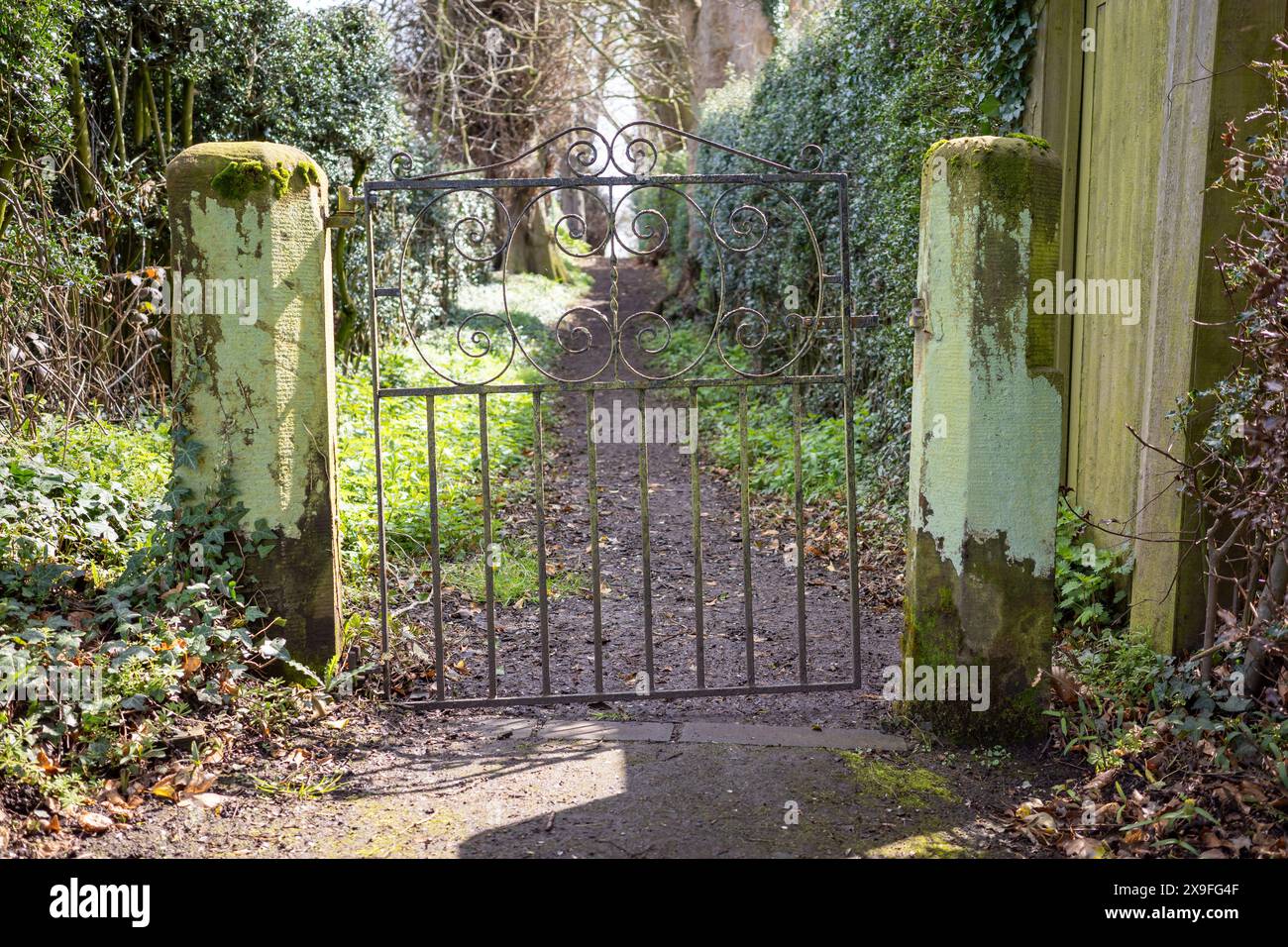 Vintage wrought iron gate leading to mossy path with lush greenery and ...