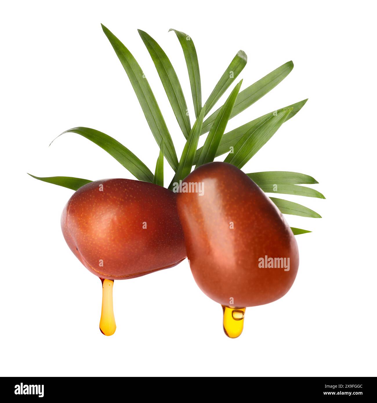 Oil dripping from palm fruits on white background Stock Photo - Alamy