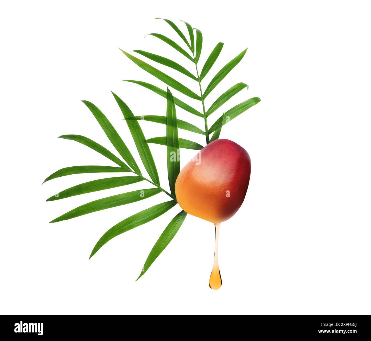 Oil dripping from palm fruit on white background Stock Photo - Alamy