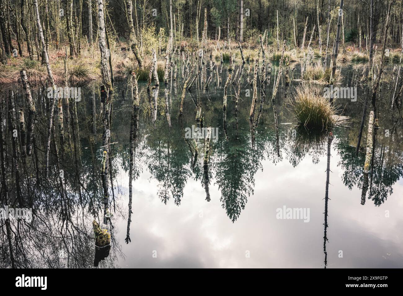 Pristine untouched environment hi-res stock photography and images - Alamy