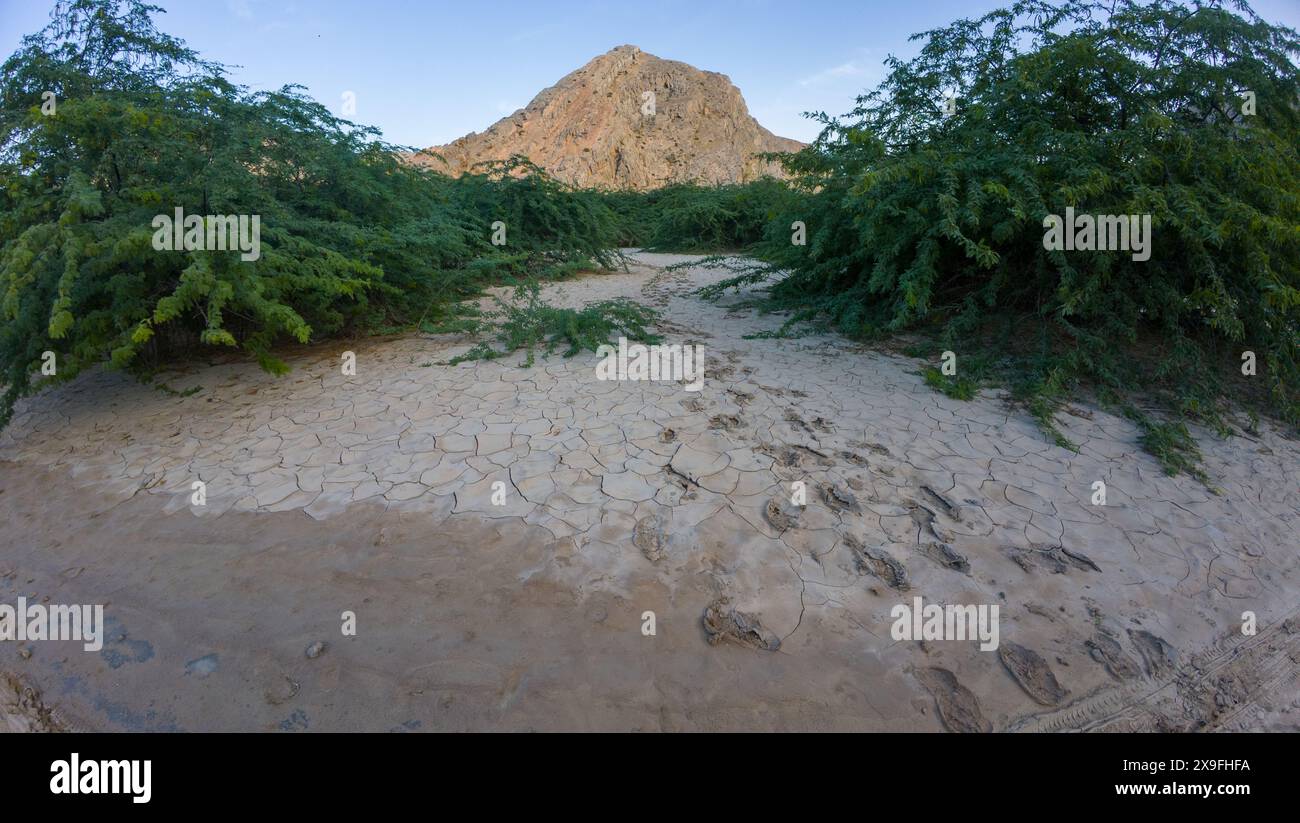 Photography of dried up riverbed with mud and tyre tracks in Oman ...