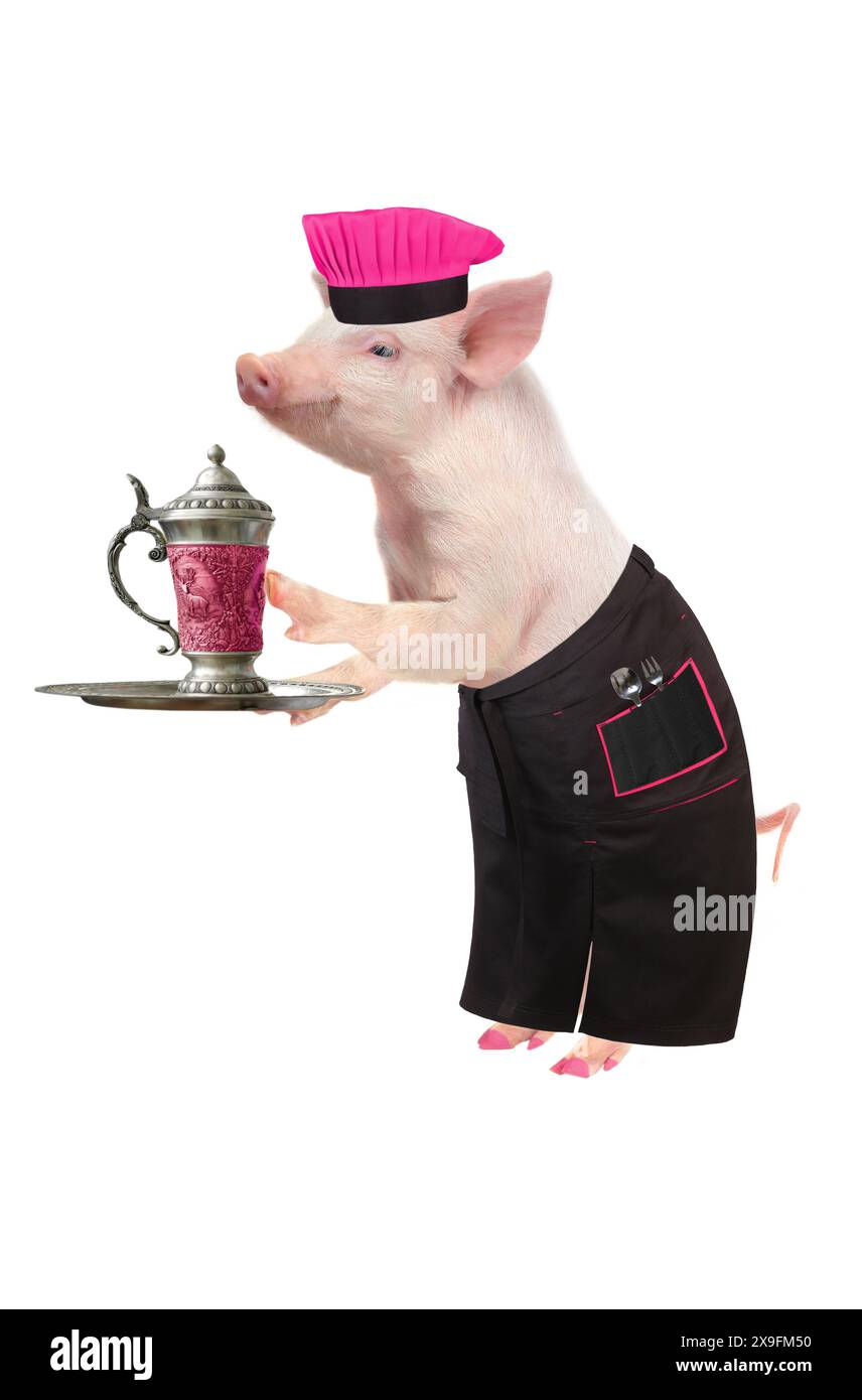 cook pig on a white background. studio Stock Photo - Alamy