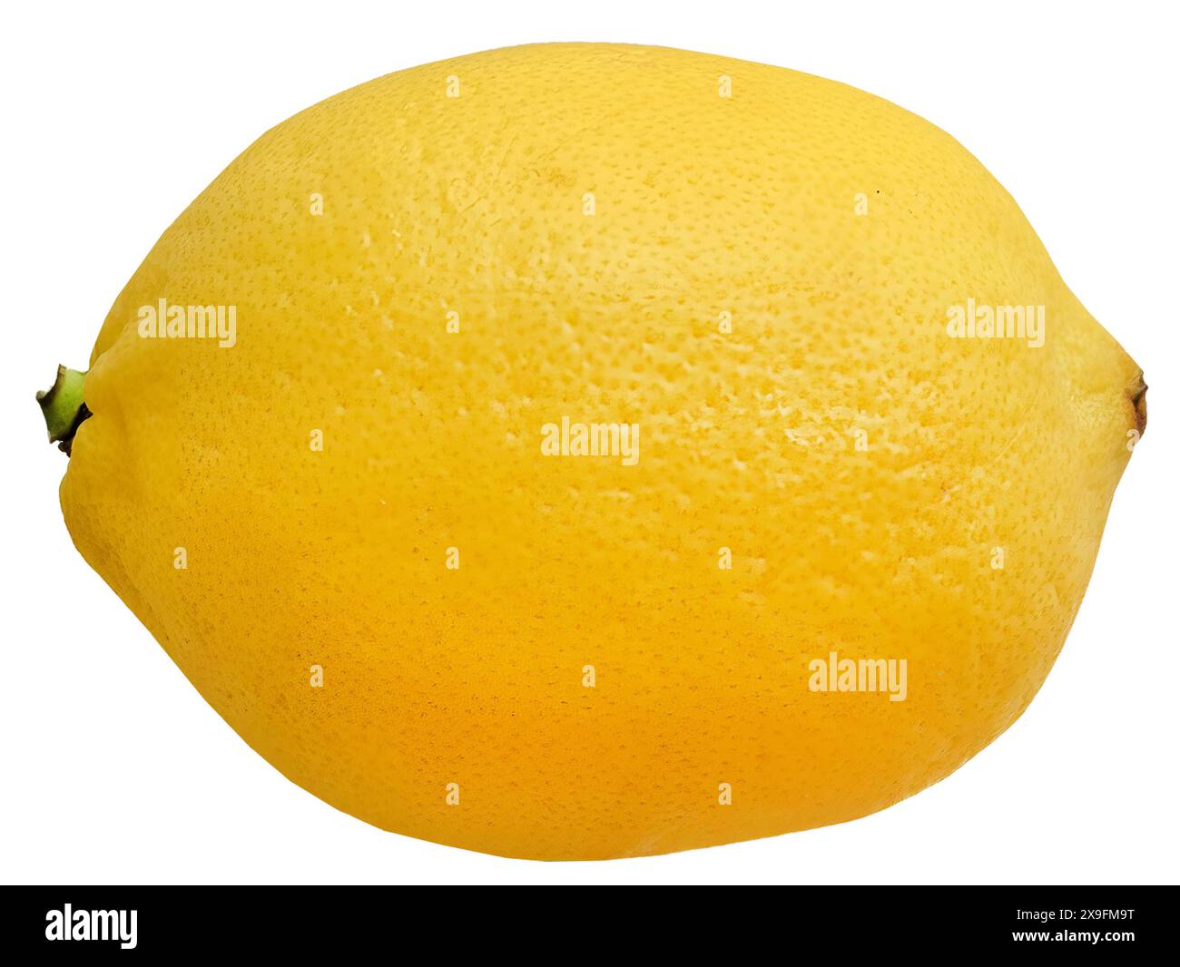 Bright yellow Lemon isolated on white background with clipping path ...