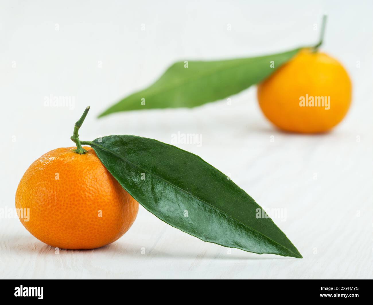 Mandarin on old white hi-res stock photography and images - Alamy