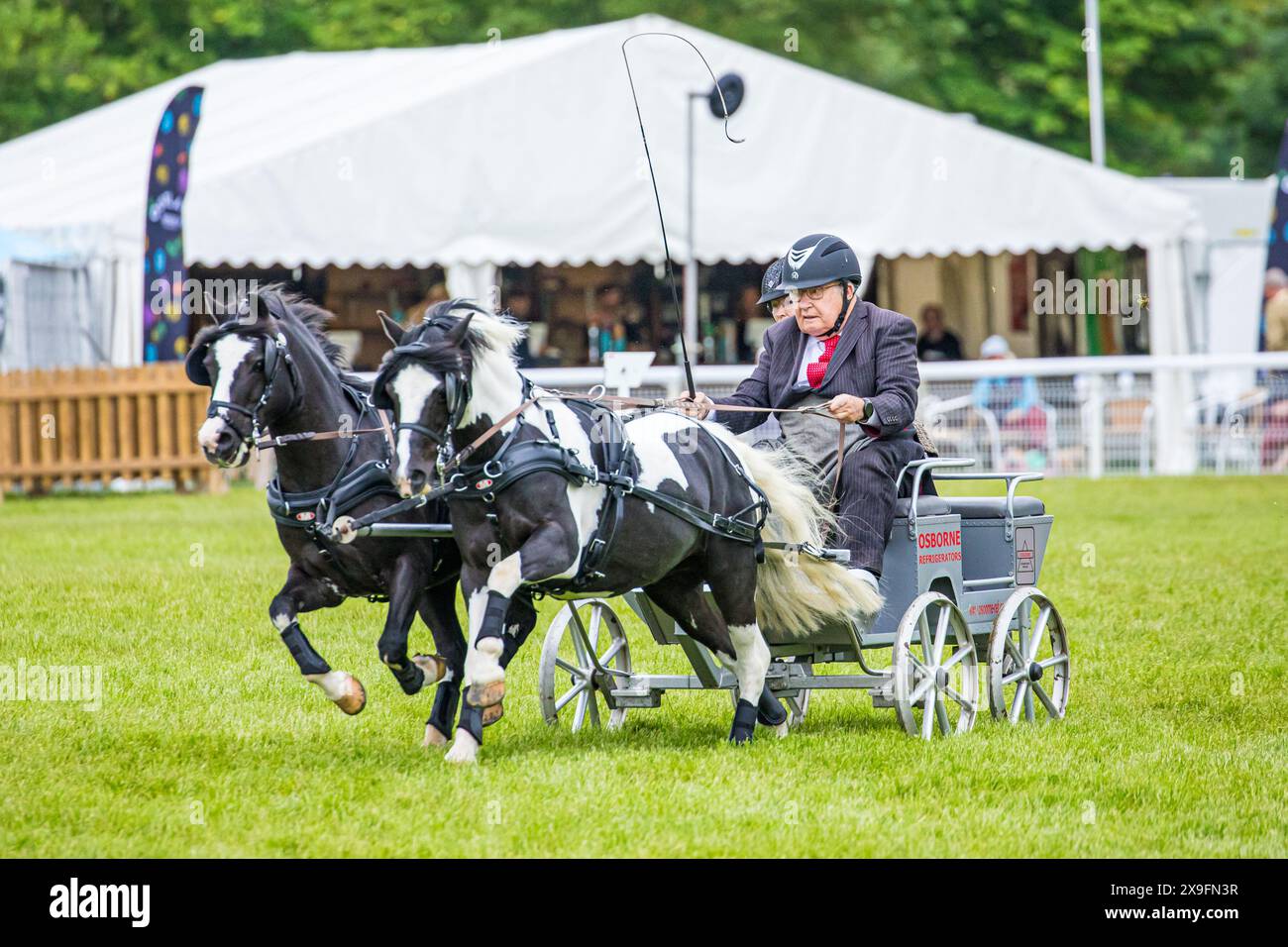 SHEPTON MALLET, SOMERSET, UK, 31st May, 2024, Action shot of the ...