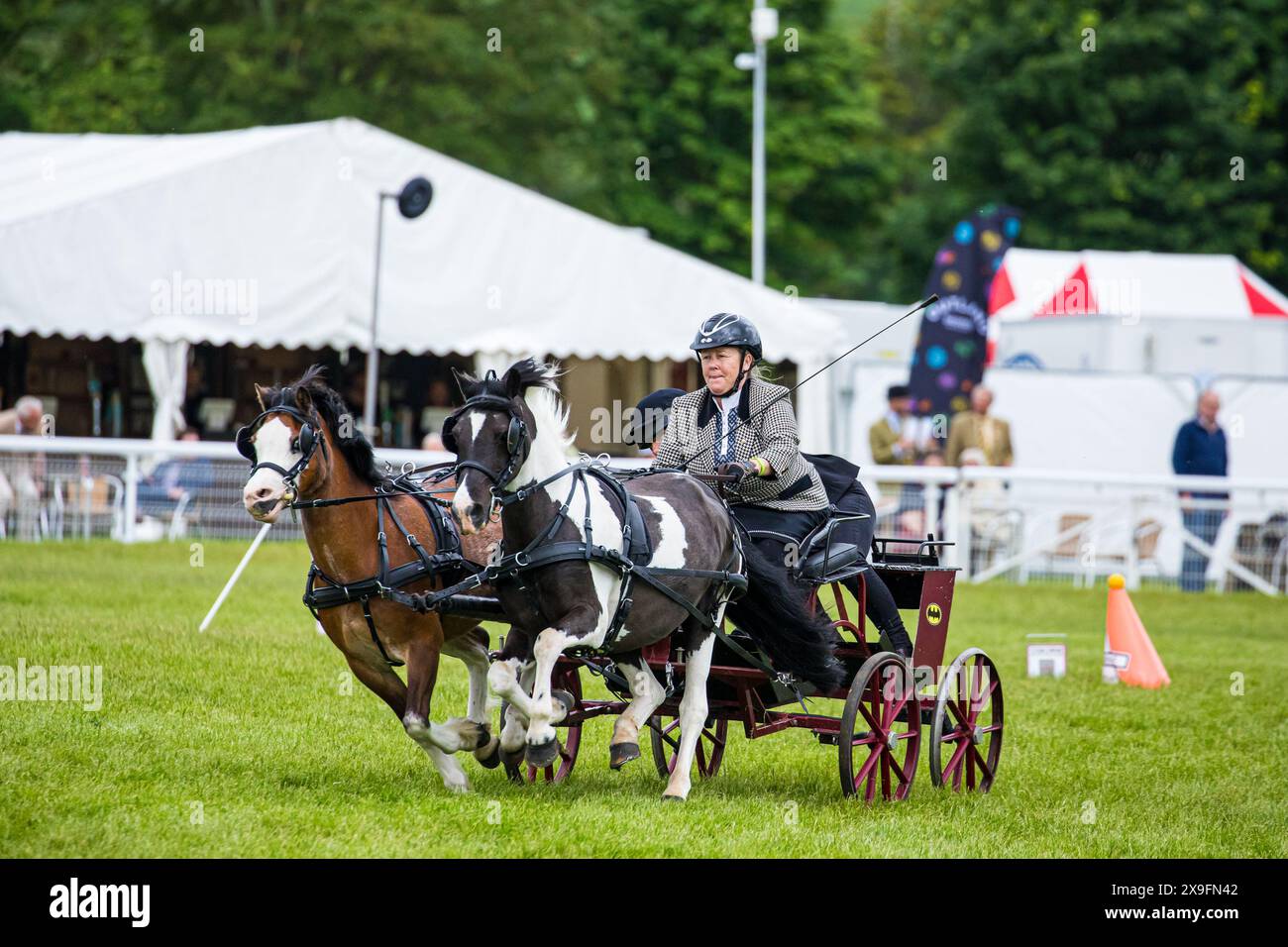 SHEPTON MALLET, SOMERSET, UK, 31st May, 2024, Action shot of the ...