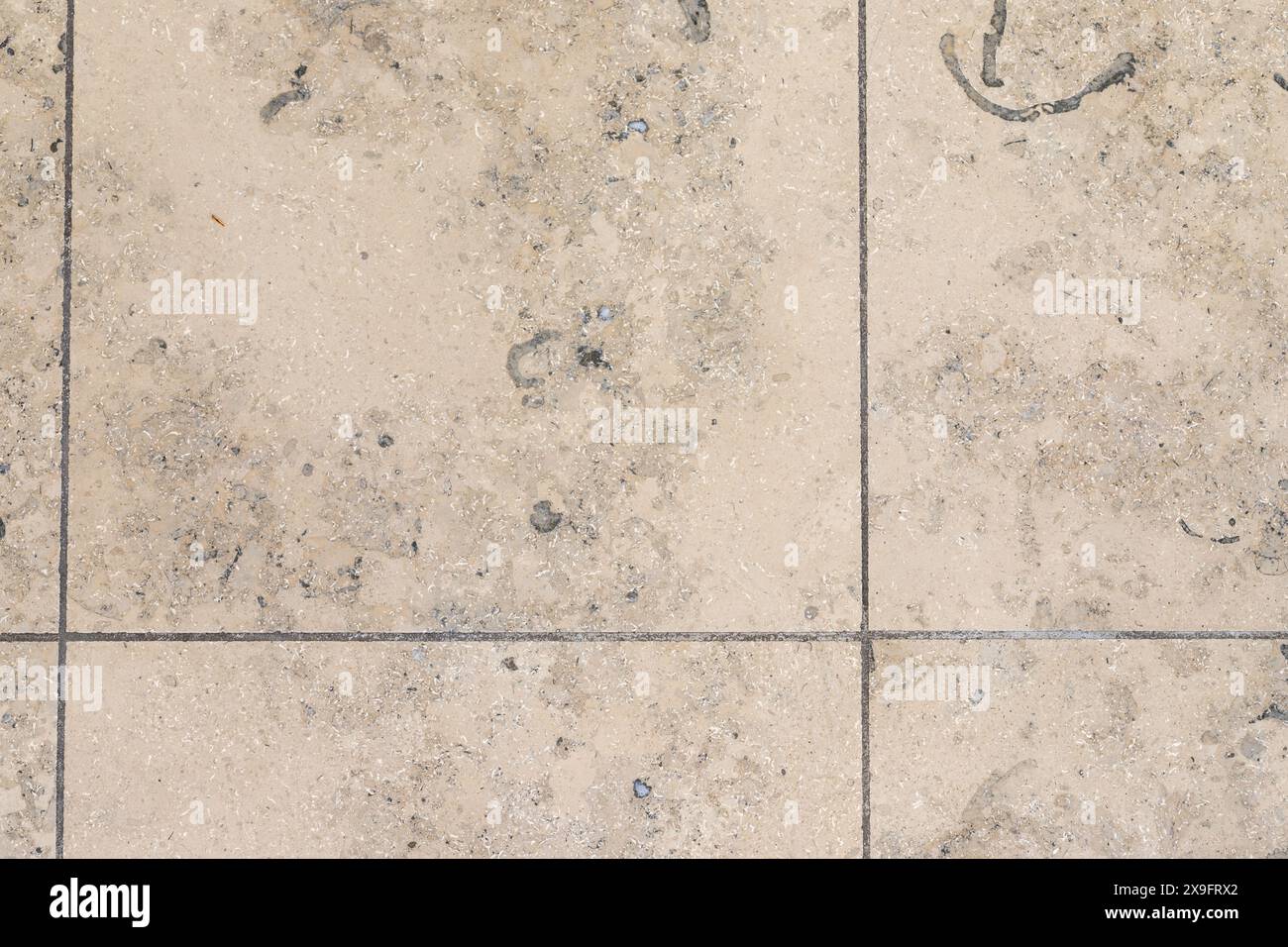 Marbleized limestone beige famous Jurassic marble. The texture of the ...