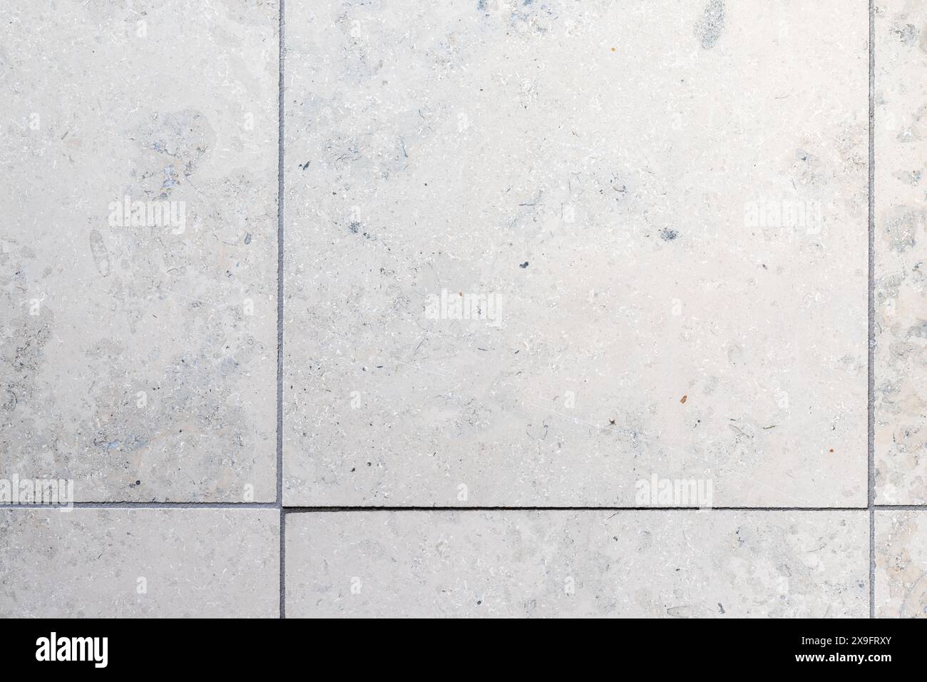 Marbleized limestone beige famous Jurassic marble. The texture of the ...