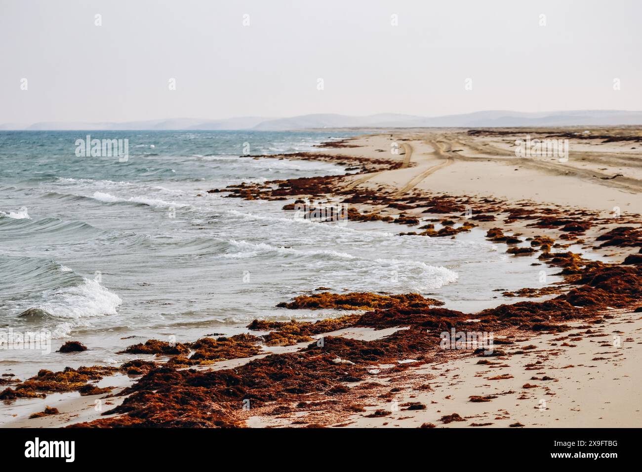 The Persian Gulf coast in the south of Qatar, on the border with Saudi ...