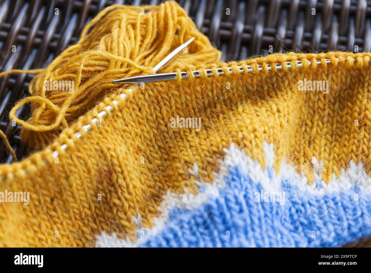 Yellow blue white wool yarn knitting on the metal needles, stockinette ...