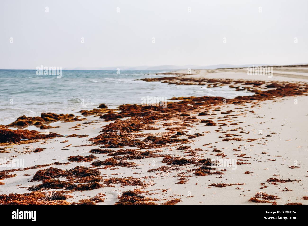 The Persian Gulf coast in the south of Qatar, on the border with Saudi ...