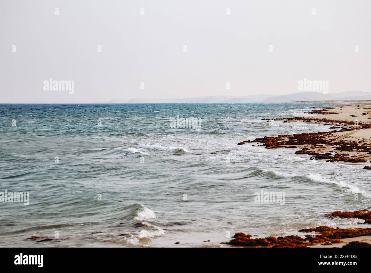 The Persian Gulf coast in the south of Qatar, on the border with Saudi ...