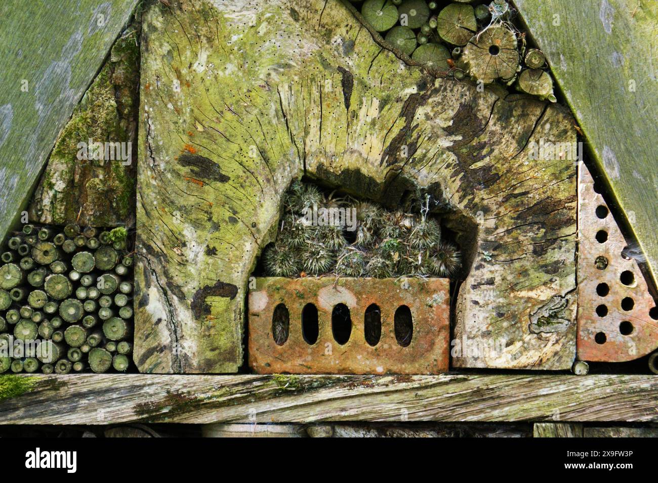 Insect hotel structure hi-res stock photography and images - Alamy