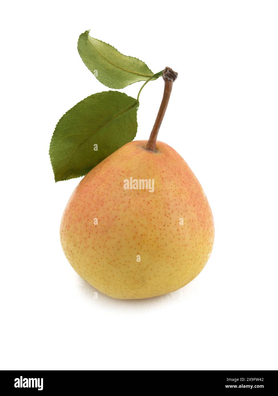 very beautiful pear isolated on white background Stock Photo - Alamy
