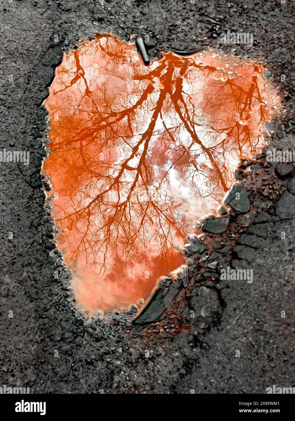 Red puddle formed on the asphalt with quartzite protrusion in the form ...