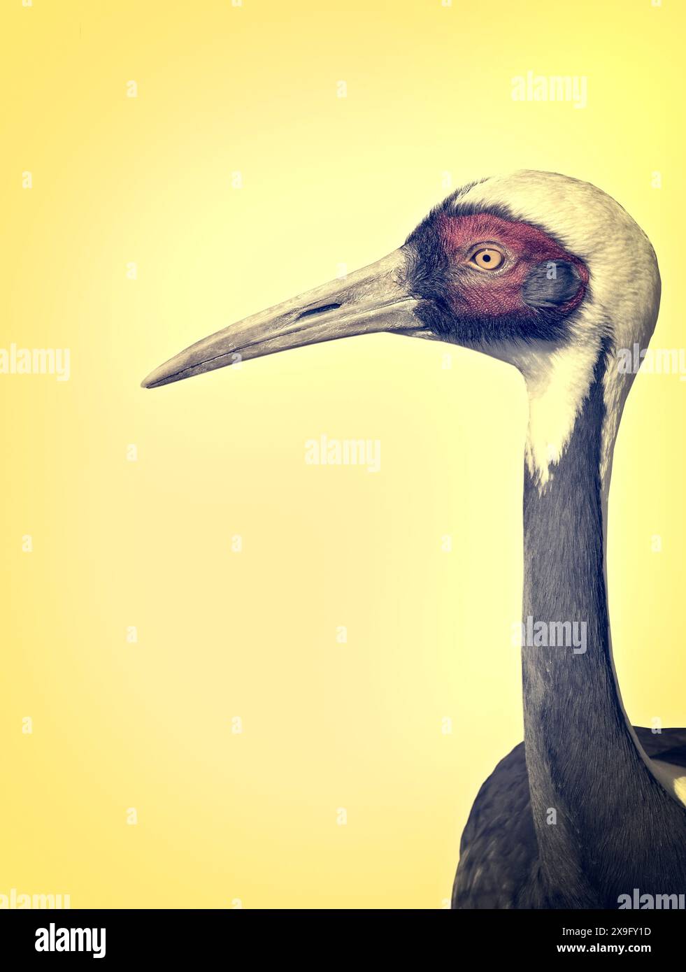 Vintage retro cranes in hi-res stock photography and images - Alamy