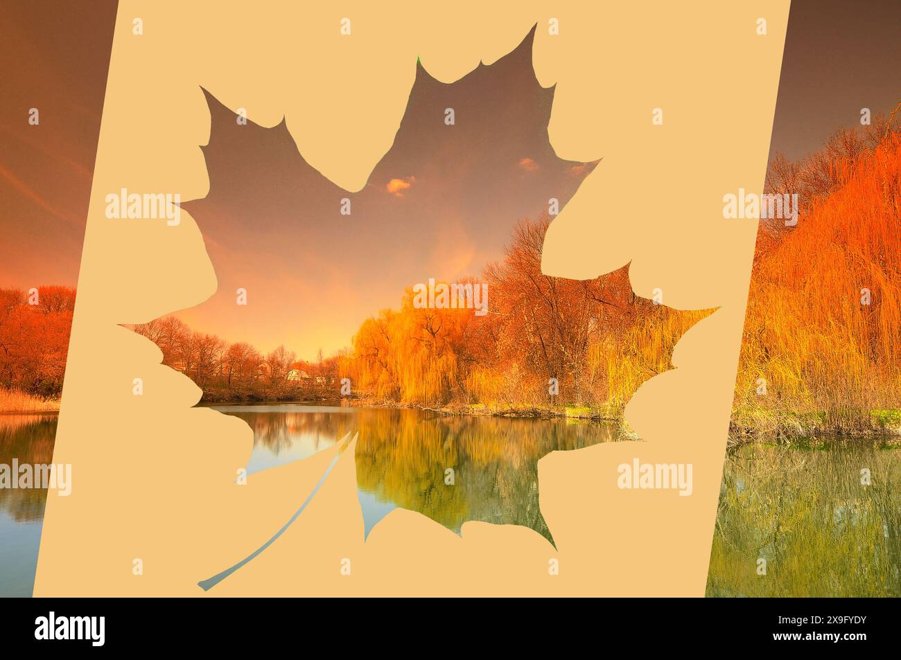 Maple leaf inside colorful hi-res stock photography and images - Alamy