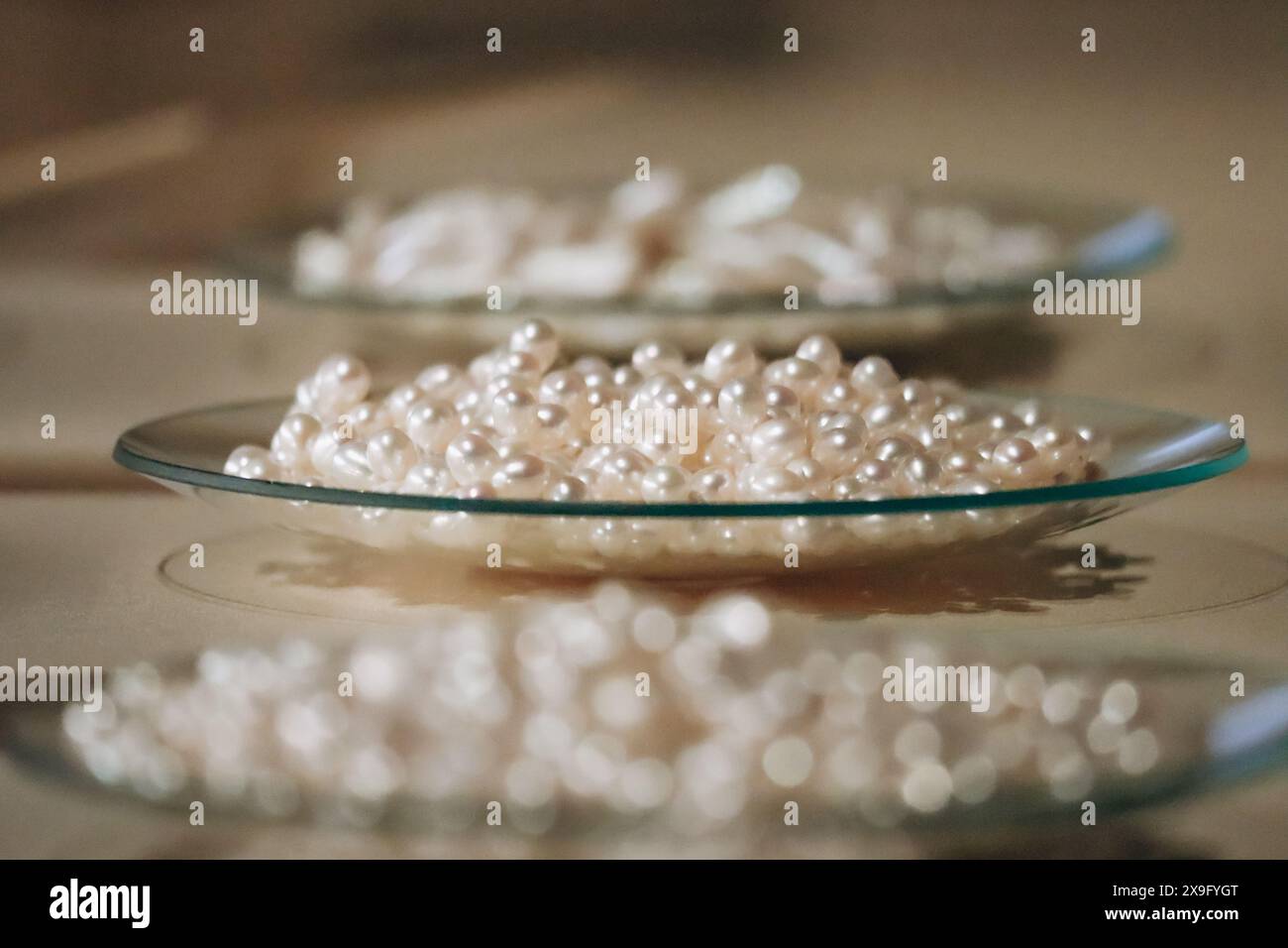 Pearl diver hi-res stock photography and images - Alamy