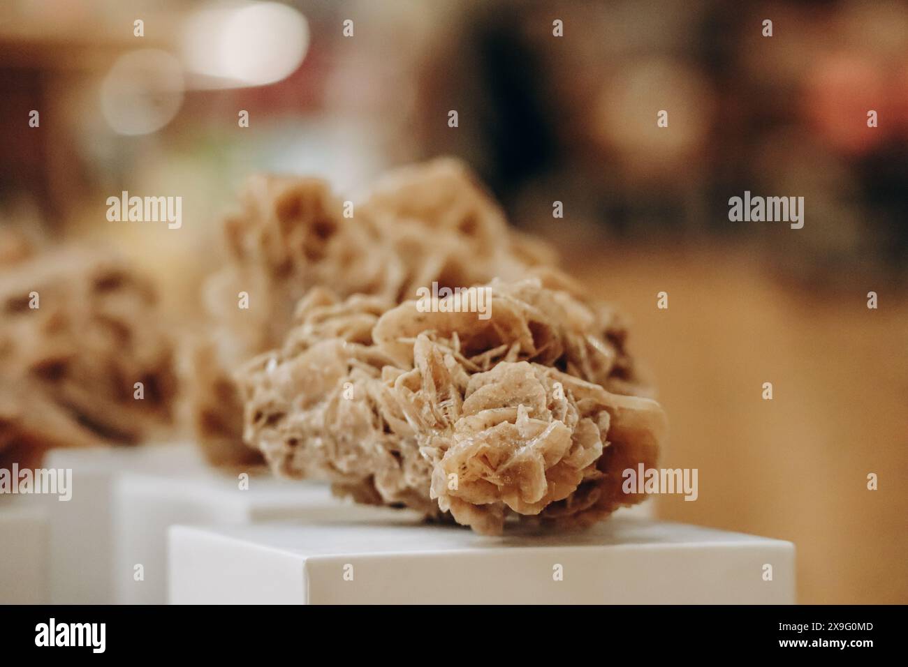 A desert rose, an intricate rose-like formation of crystal clusters of ...