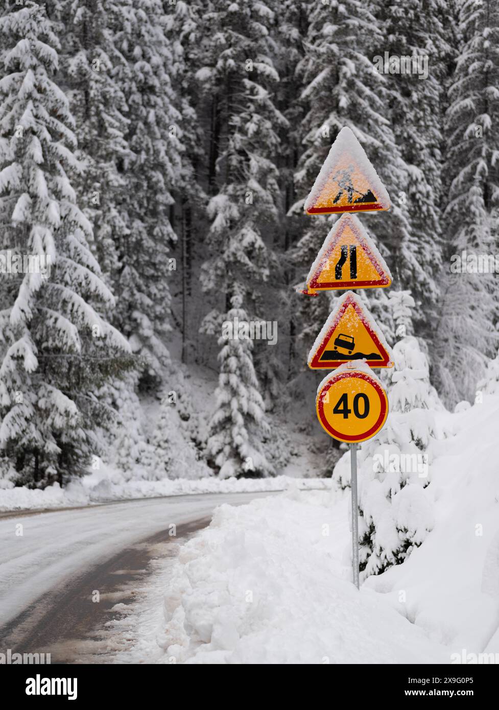 Road signs. Mountain road in the forest during a snowfall Stock Photo ...