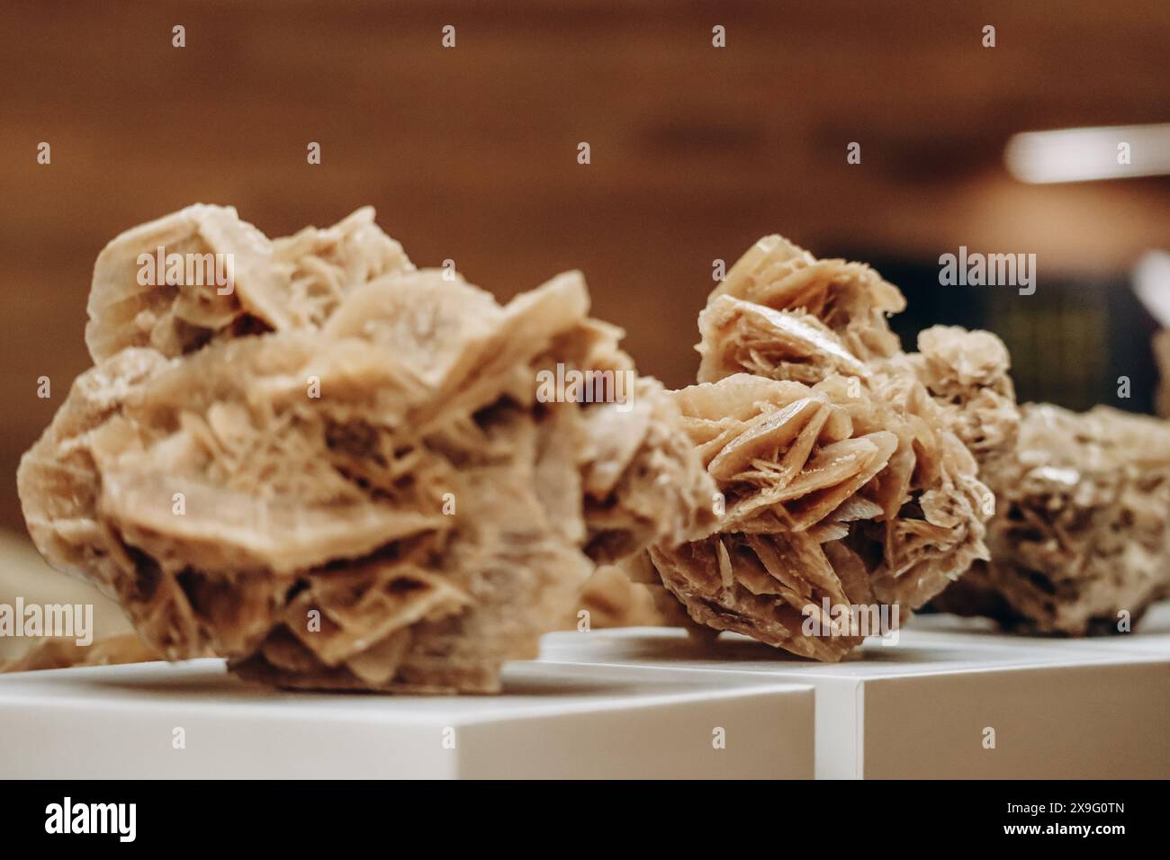 Desert rose crystal clusters gypsum hi-res stock photography and images ...