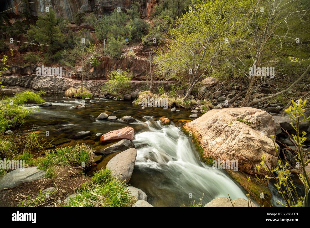 Beyond picturesque image of the underrated and alluring Grasshopper ...