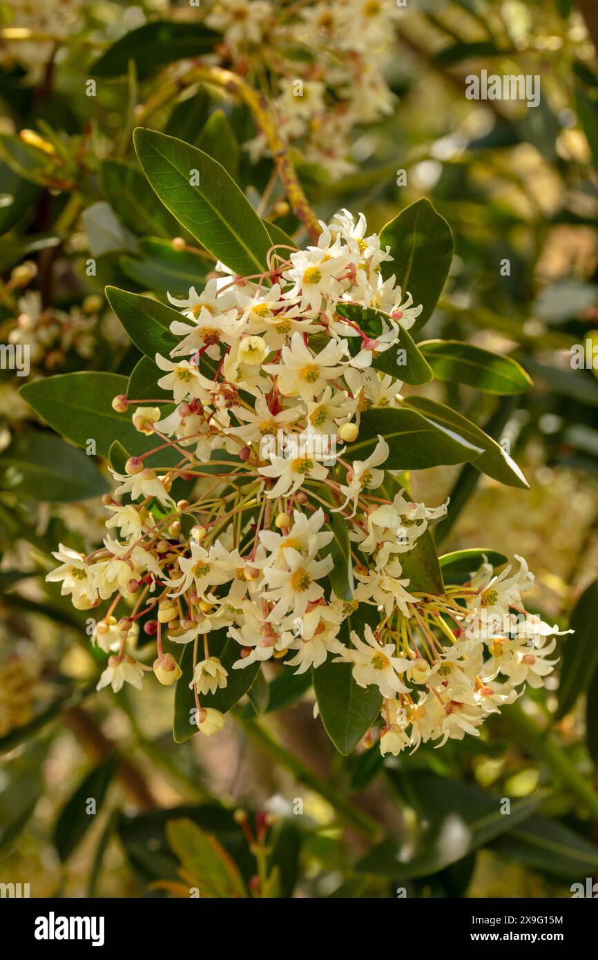 Stunning Alluring, Astounding, Breathtaking, Compelling, Dazzling ...