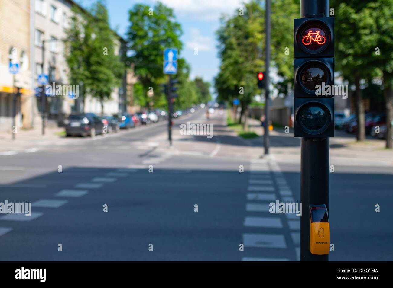 Traffic light for cyclists. Red light for bycicle lane on a traffic ...