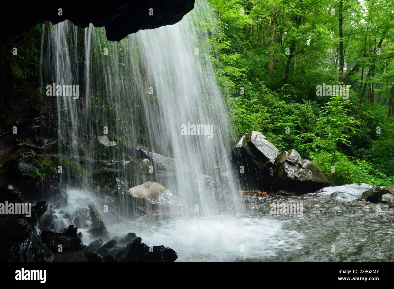 A waterfall cascades over a hiking trail in the forest of the Great ...