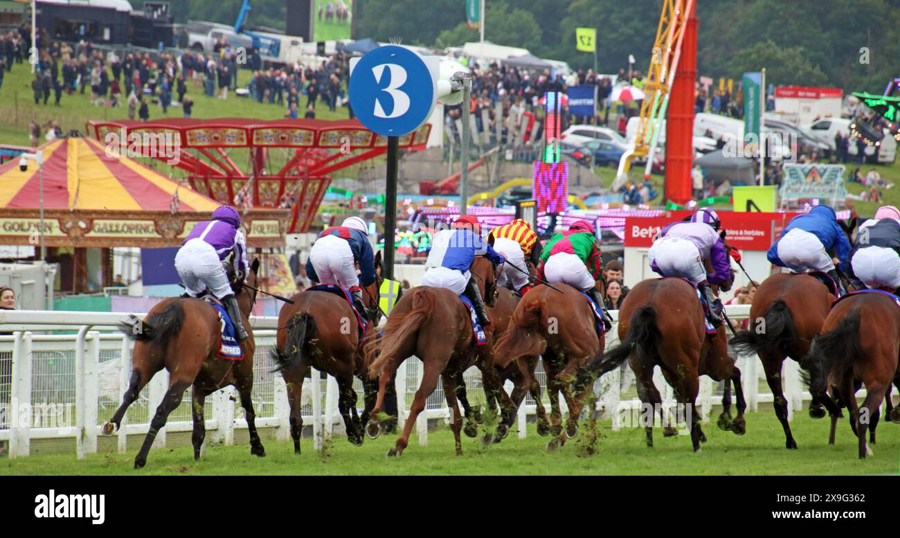Ezeliya horse hi-res stock photography and images - Alamy