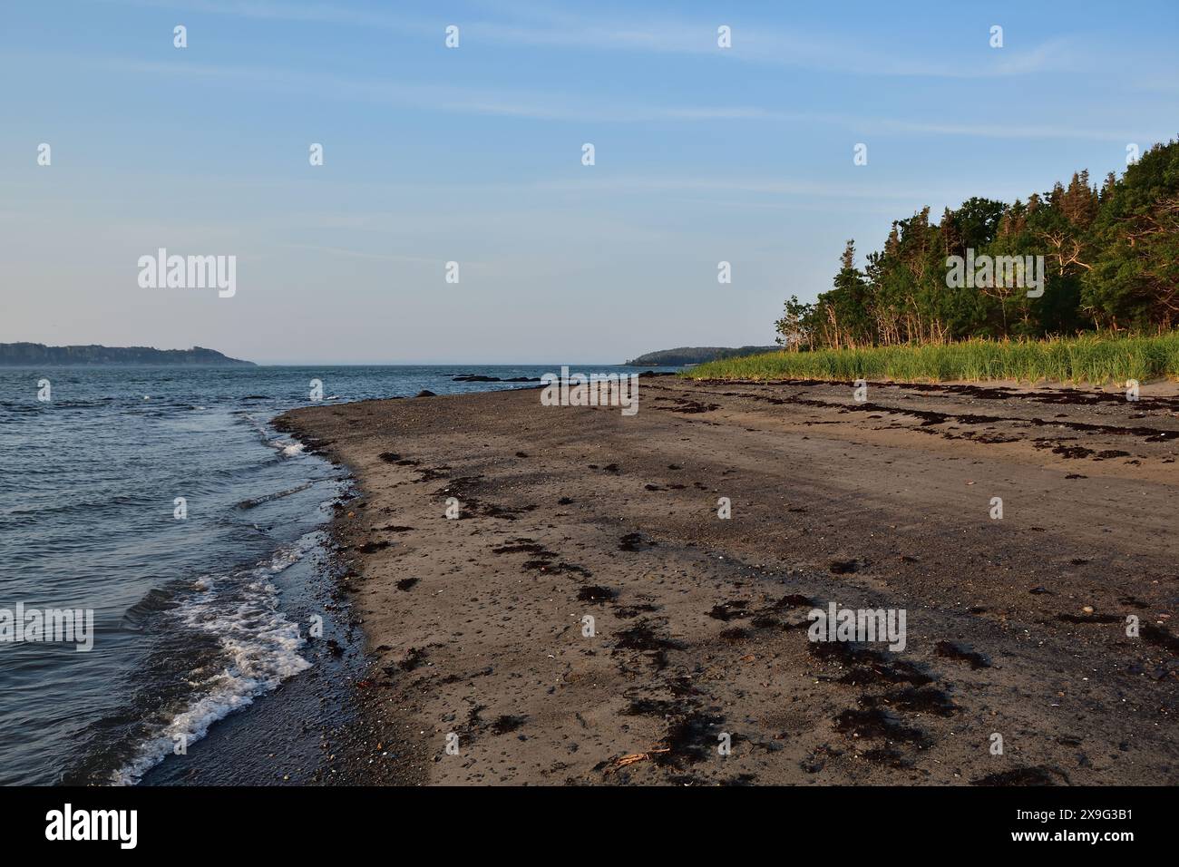St-Lawrence river shore line at sunrise. Exposed rocks and tree line ...