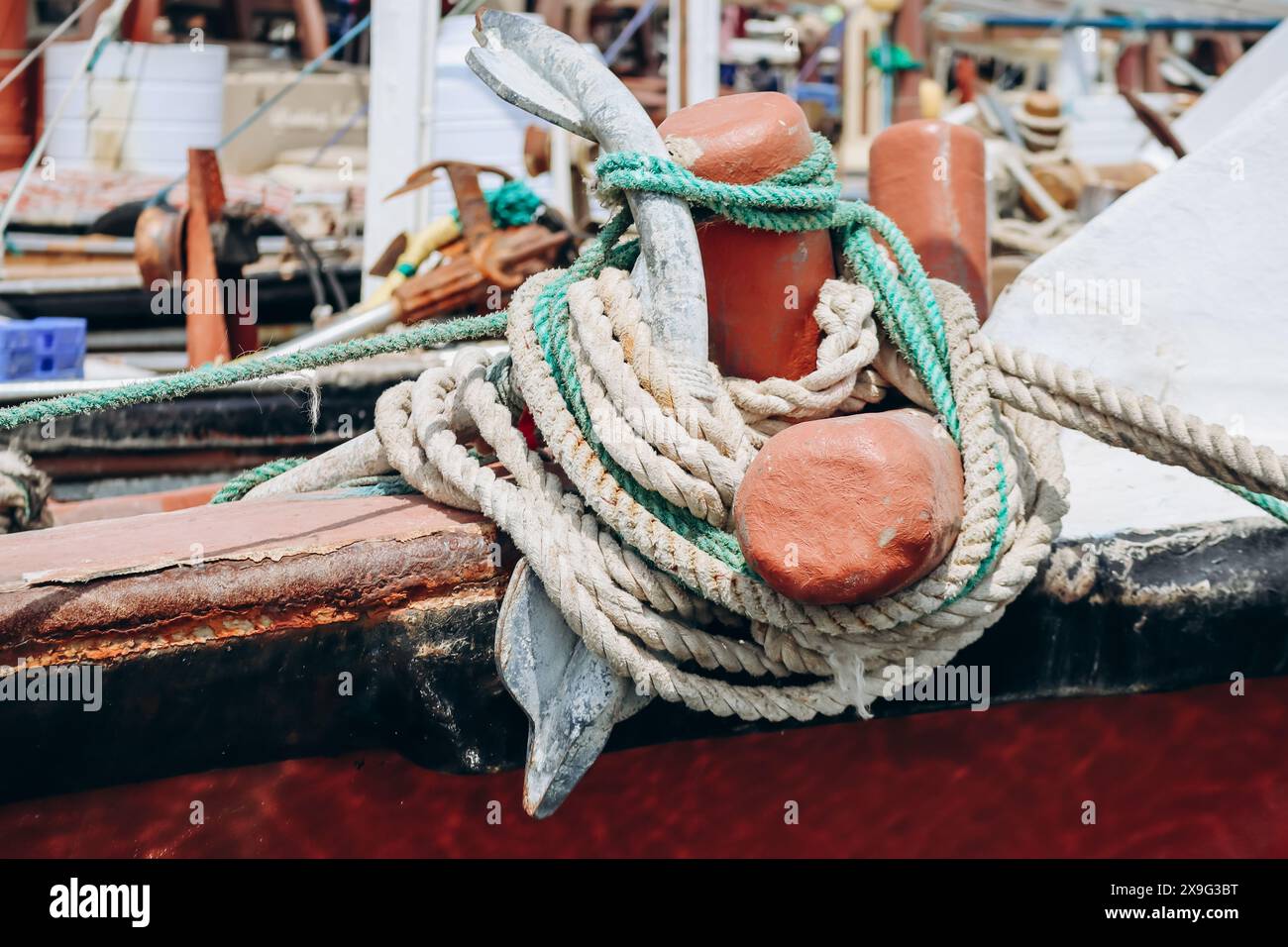 Ocean fish of qatar hi-res stock photography and images - Alamy