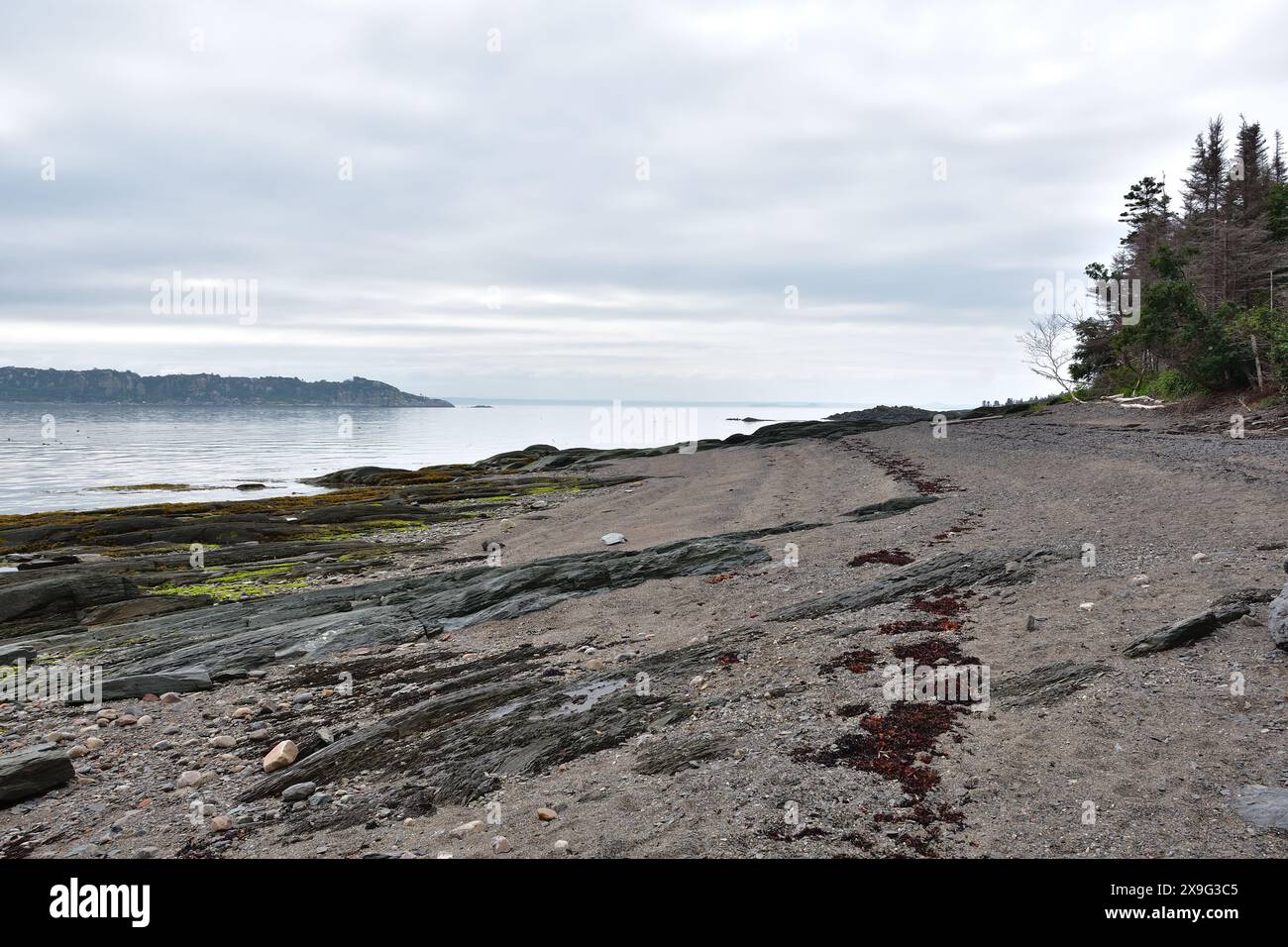 St-Lawrence river shoreline at low tide. Beach with sand and exposed ...