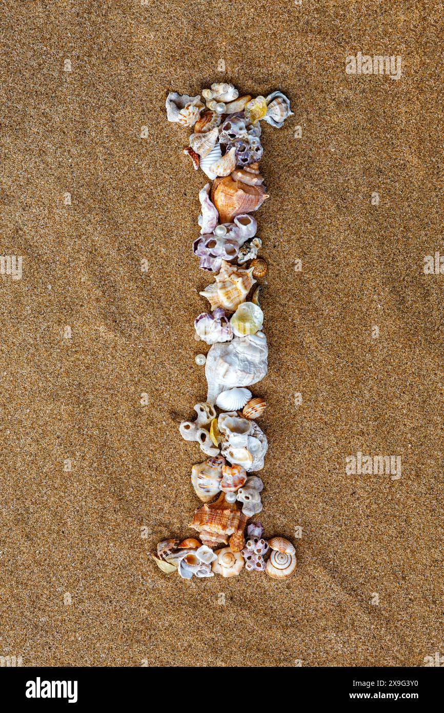 The letter T of the English alphabet, a letter made of seashells on the ...