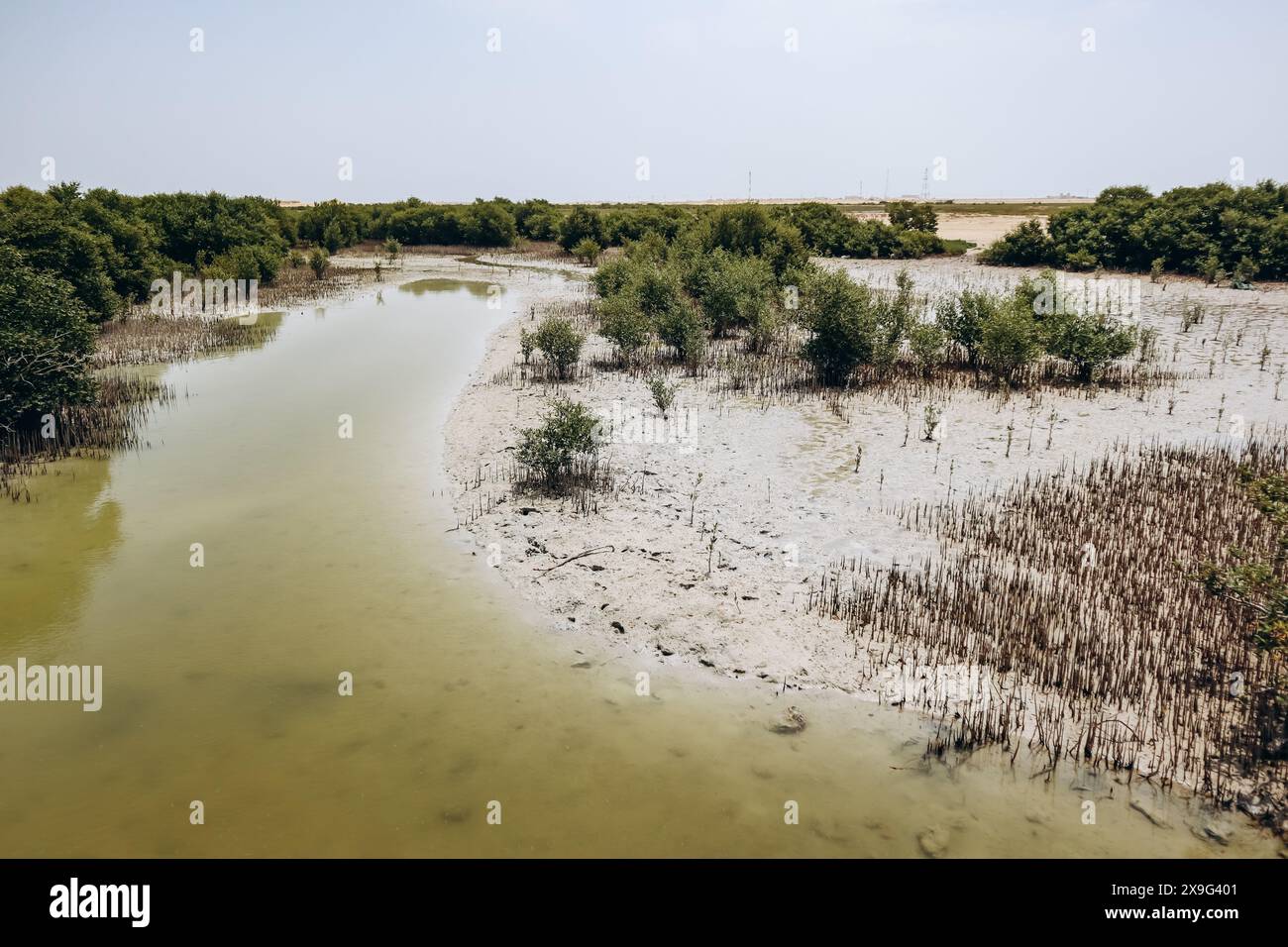 Qatars beauty hi-res stock photography and images - Alamy