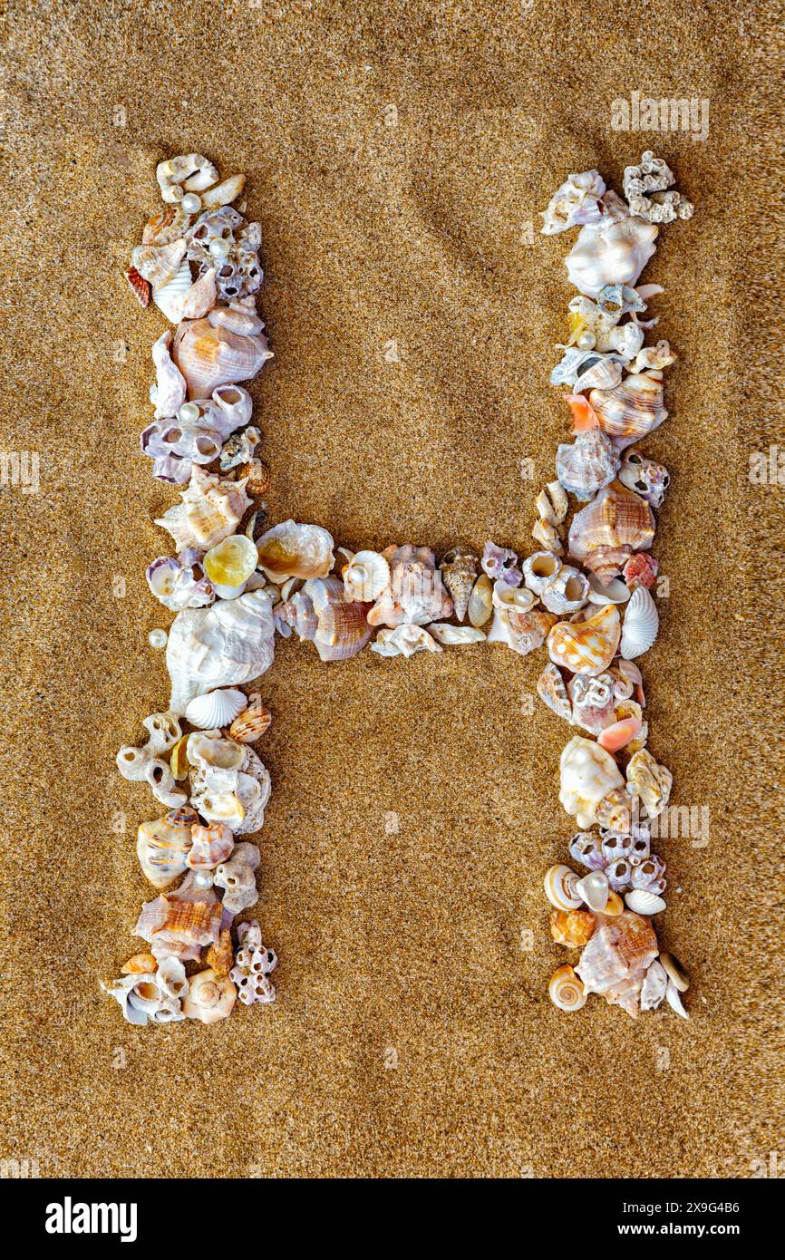 The letter T of the English alphabet, a letter made of seashells on the ...