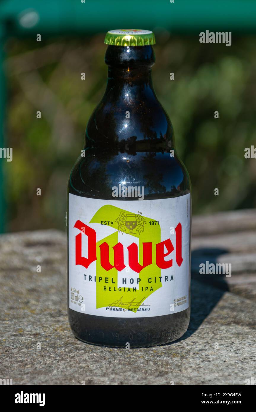 Duvel tripel hop citra belgian beer hi-res stock photography and images ...