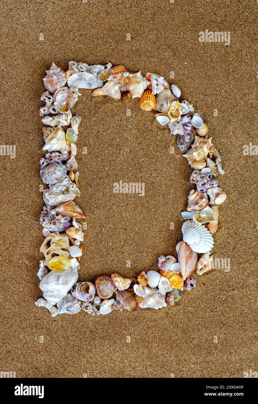 The letter T of the English alphabet, a letter made of seashells on the ...