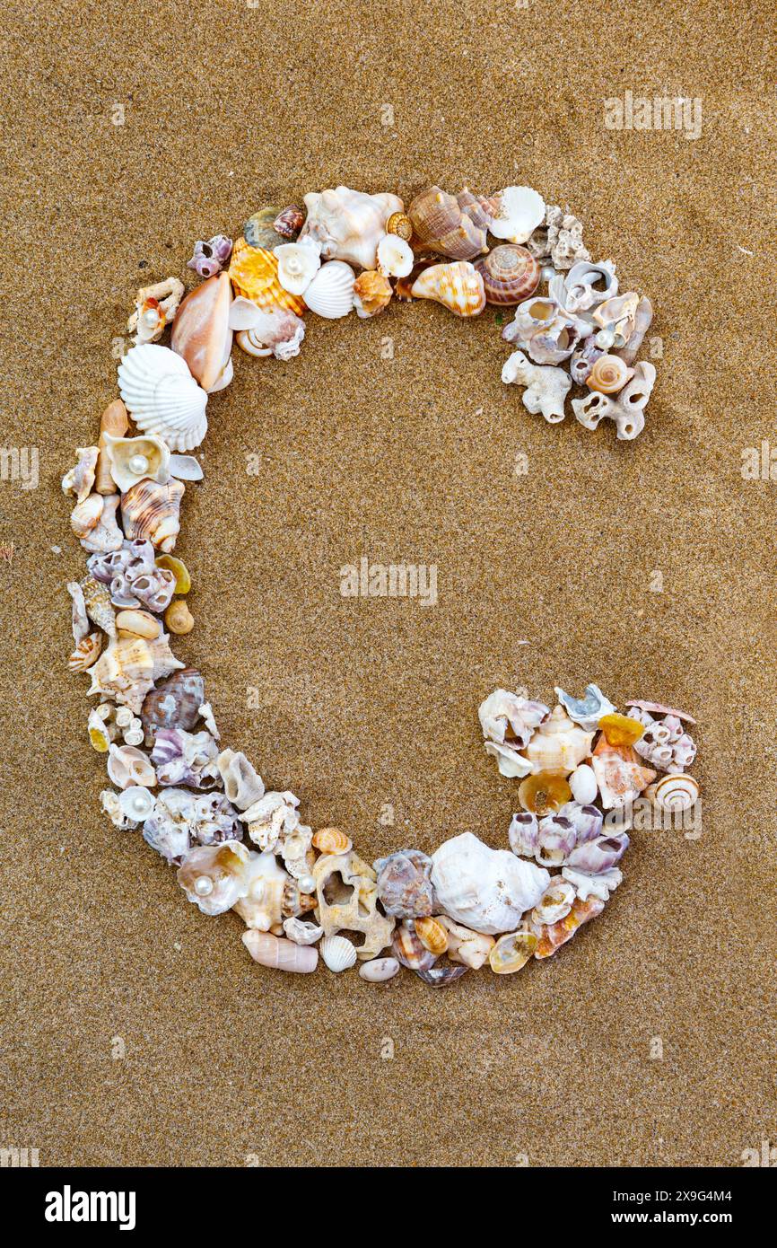 The letter T of the English alphabet, a letter made of seashells on the ...