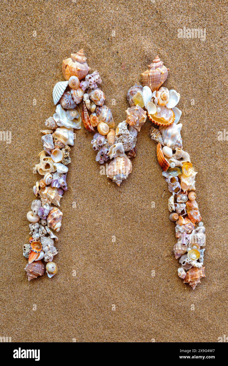 The letter T of the English alphabet, a letter made of seashells on the ...