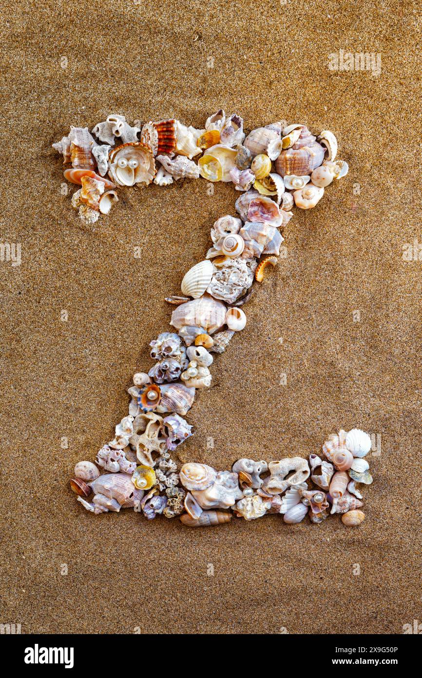 The letter T of the English alphabet, a letter made of seashells on the ...