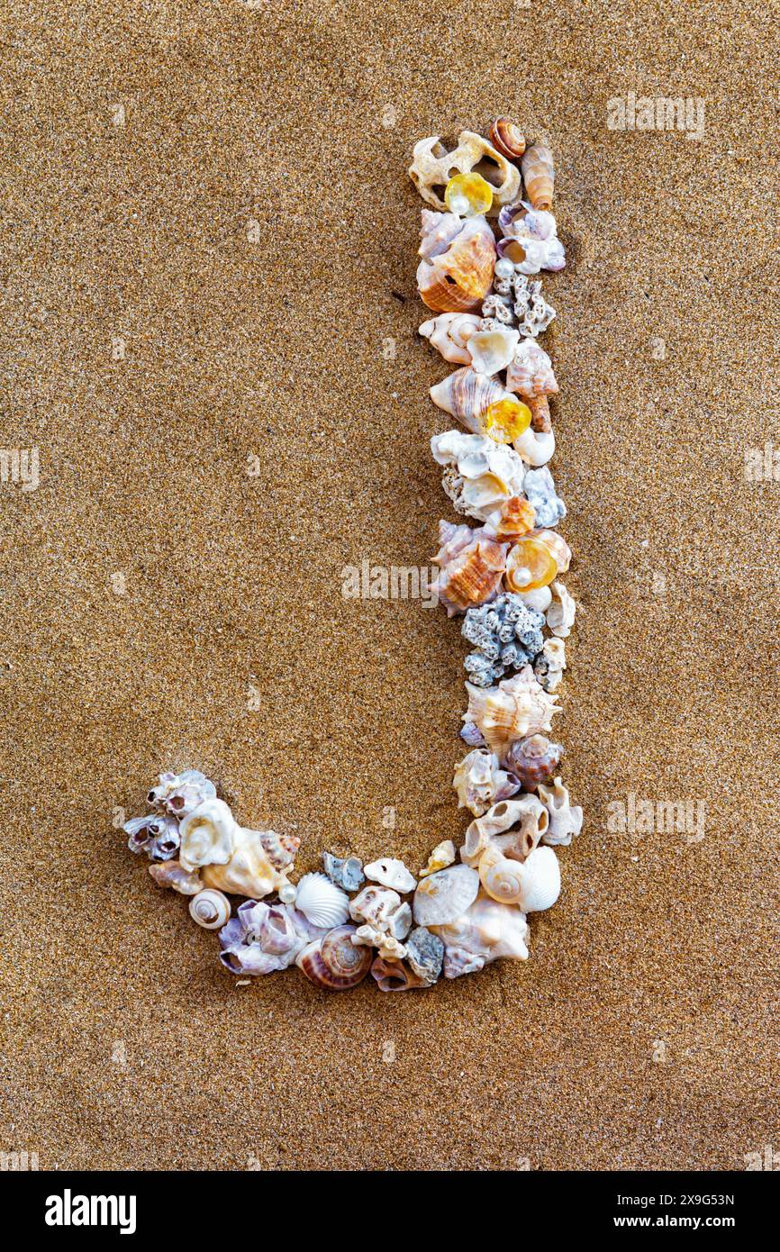 The letter T of the English alphabet, a letter made of seashells on the ...